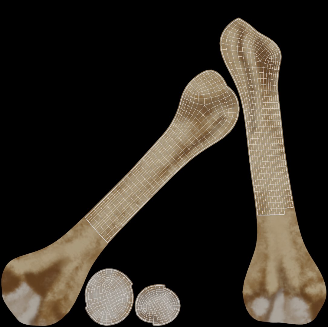 3D Human Anatomy-Right Upper Limb Shoulder - TurboSquid 2217057