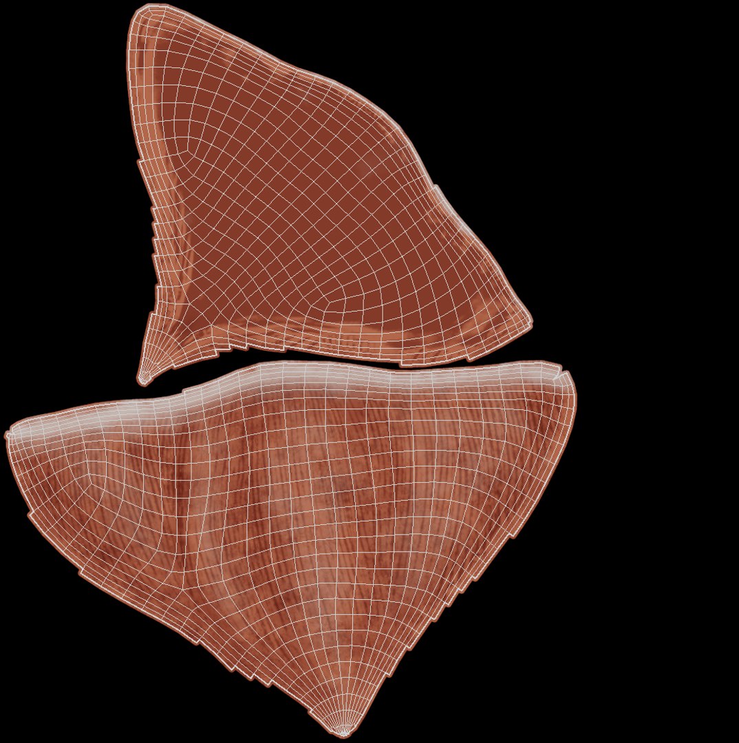 3D Human Anatomy-Right Upper Limb Shoulder - TurboSquid 2217057