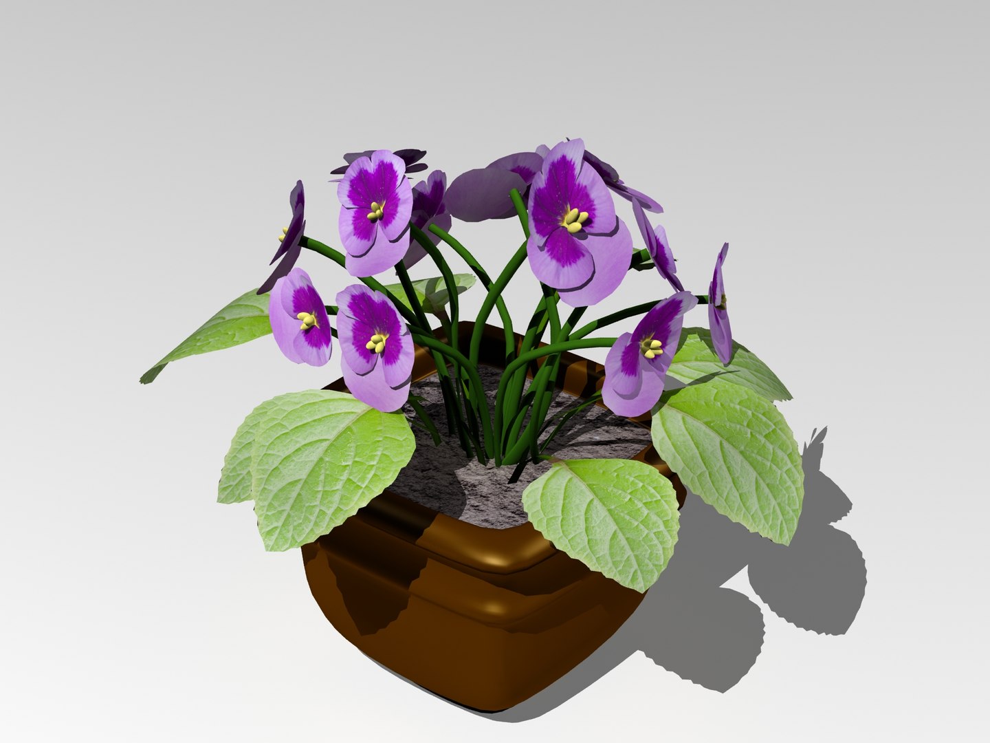 Violets Flower 3d Model