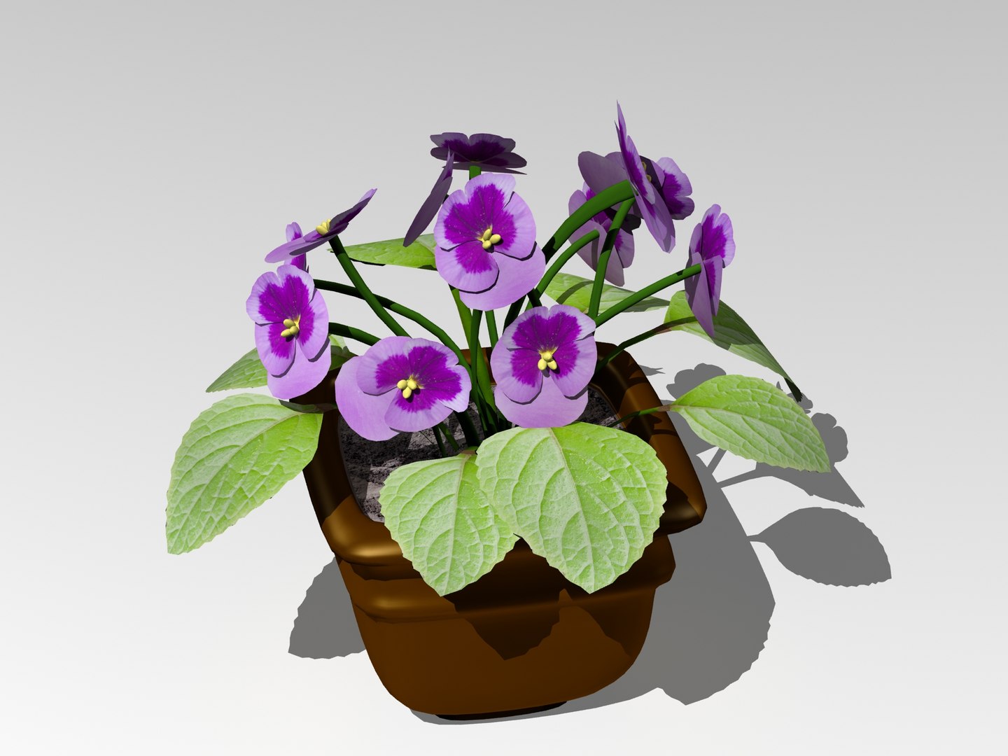 Violets Flower 3d Model