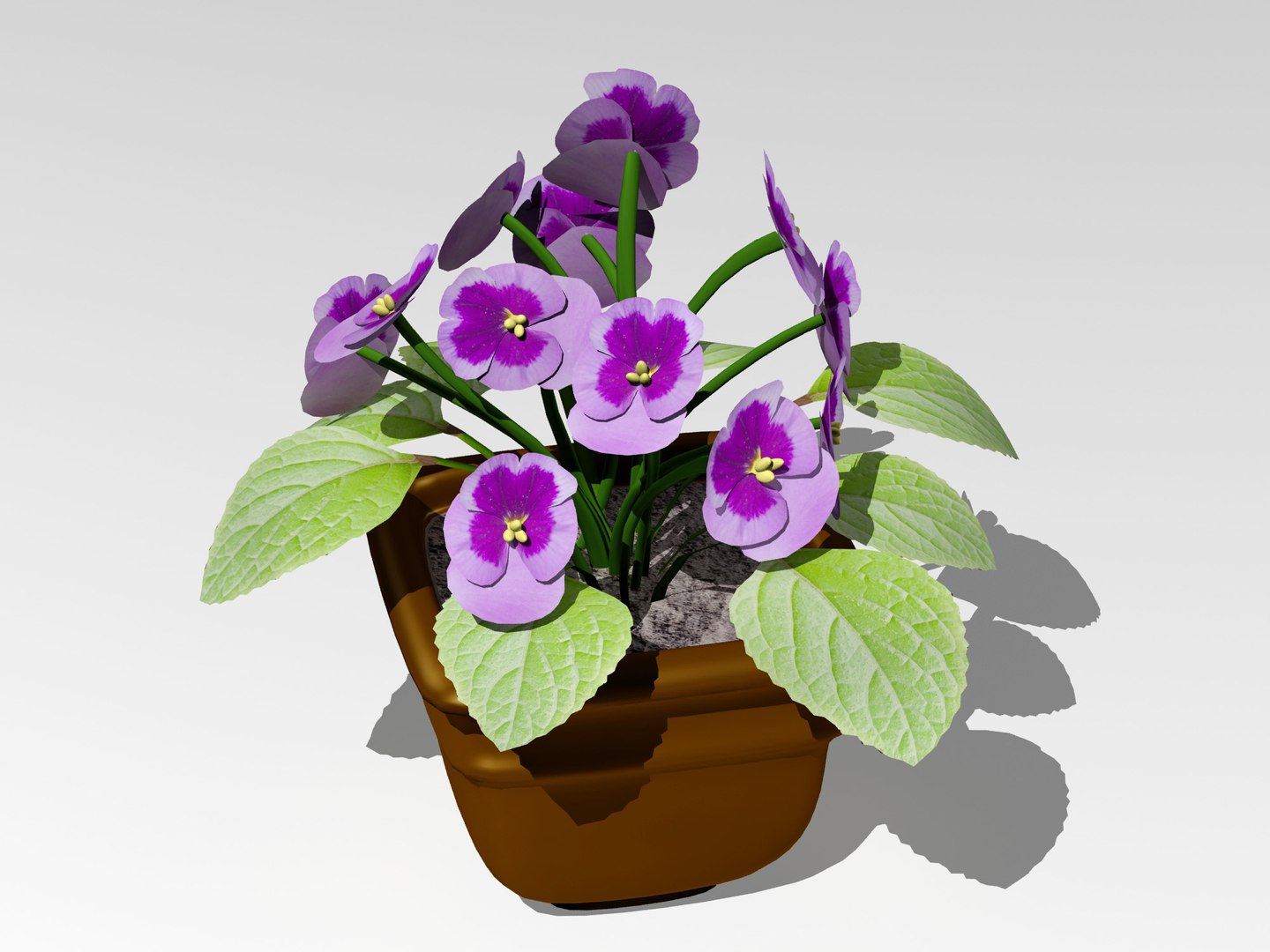 Violets Flower 3d Model