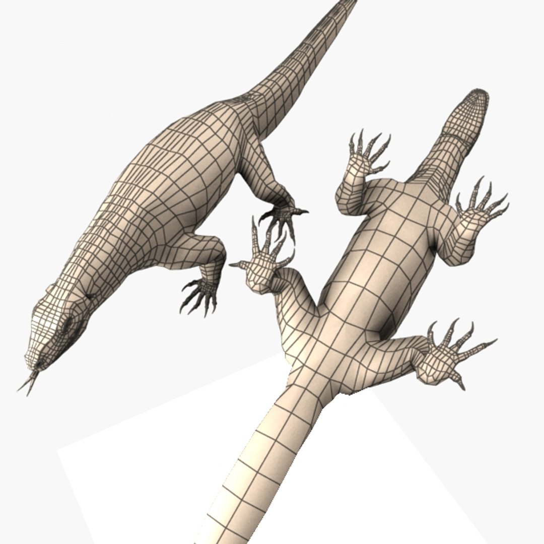 3d komodo dragon model