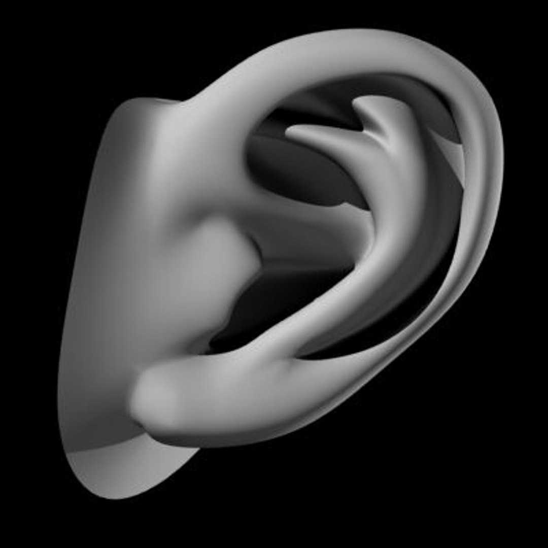 lightwave subpatches ear