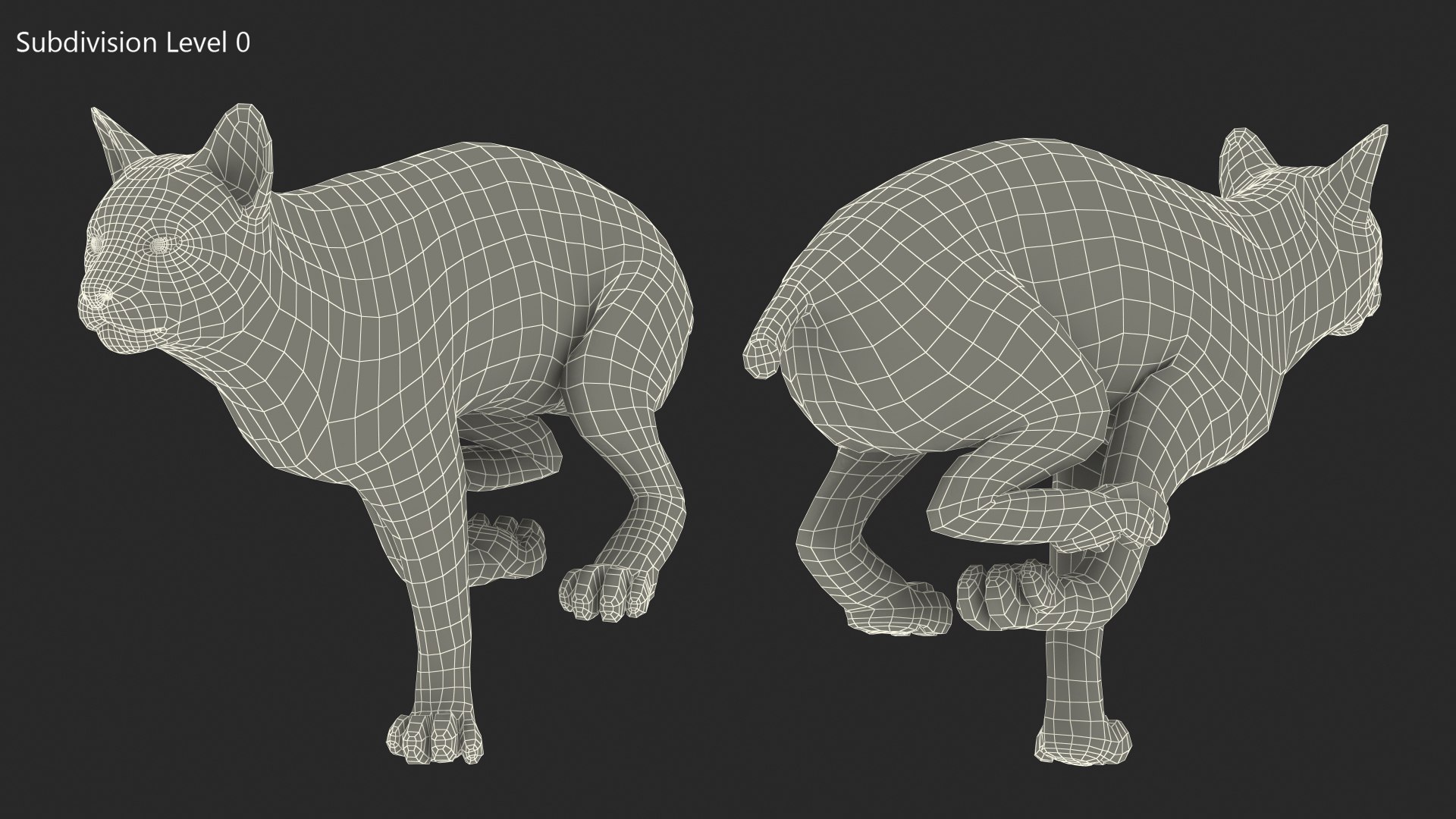 3D Lynx Running Fur - TurboSquid 2025478