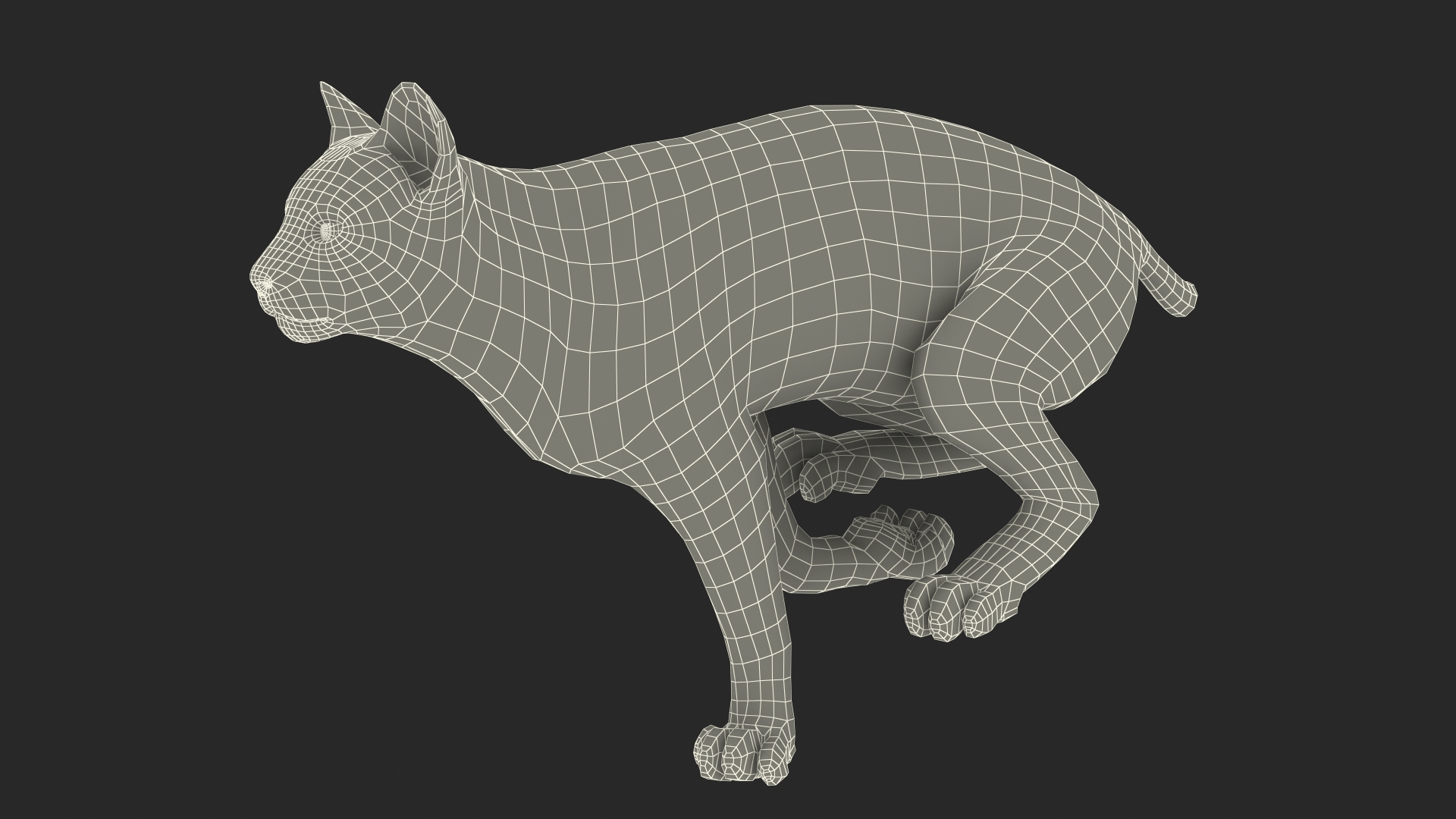 3D Lynx Running Fur - TurboSquid 2025478