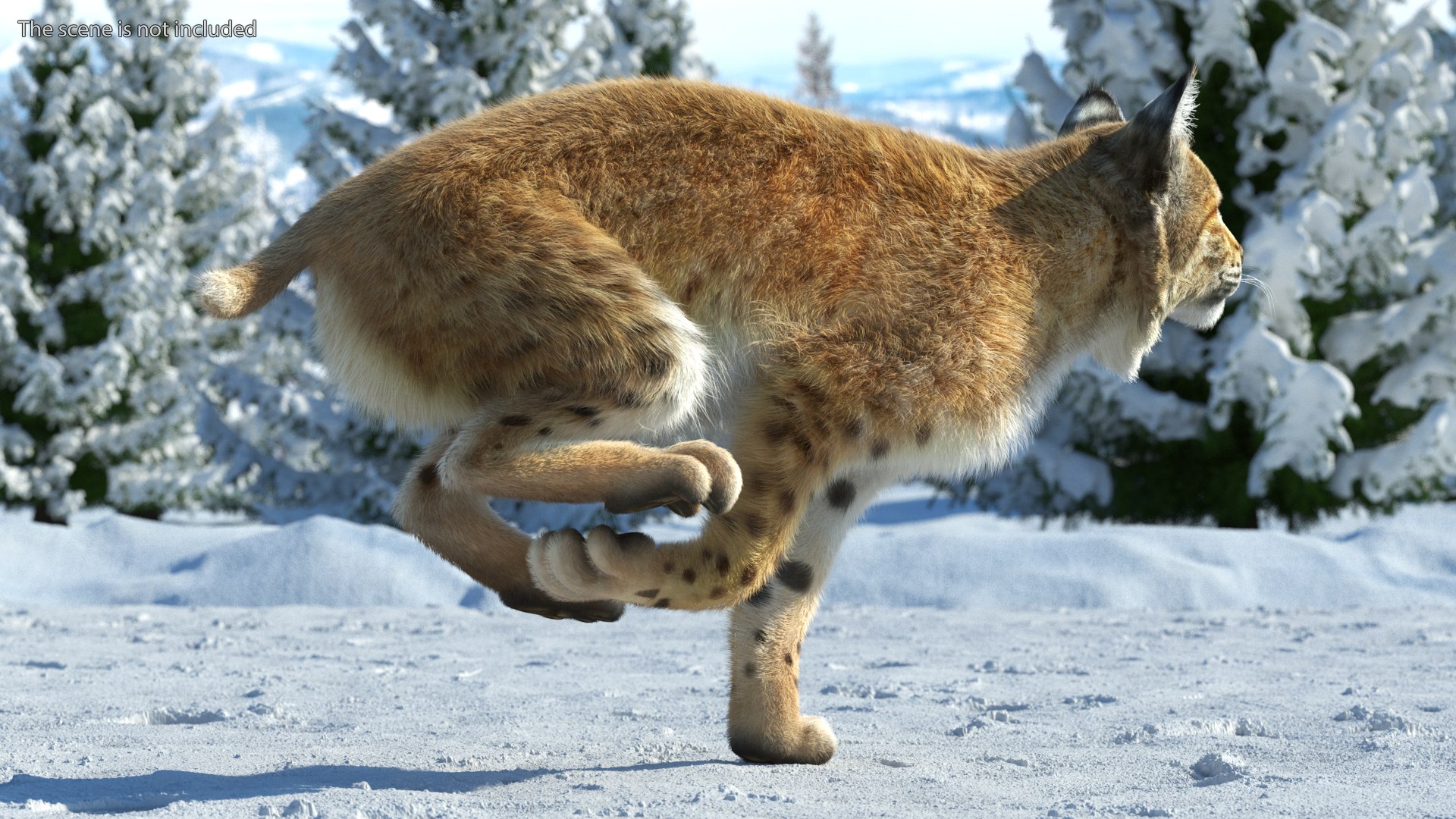3D Lynx Running Fur - TurboSquid 2025478