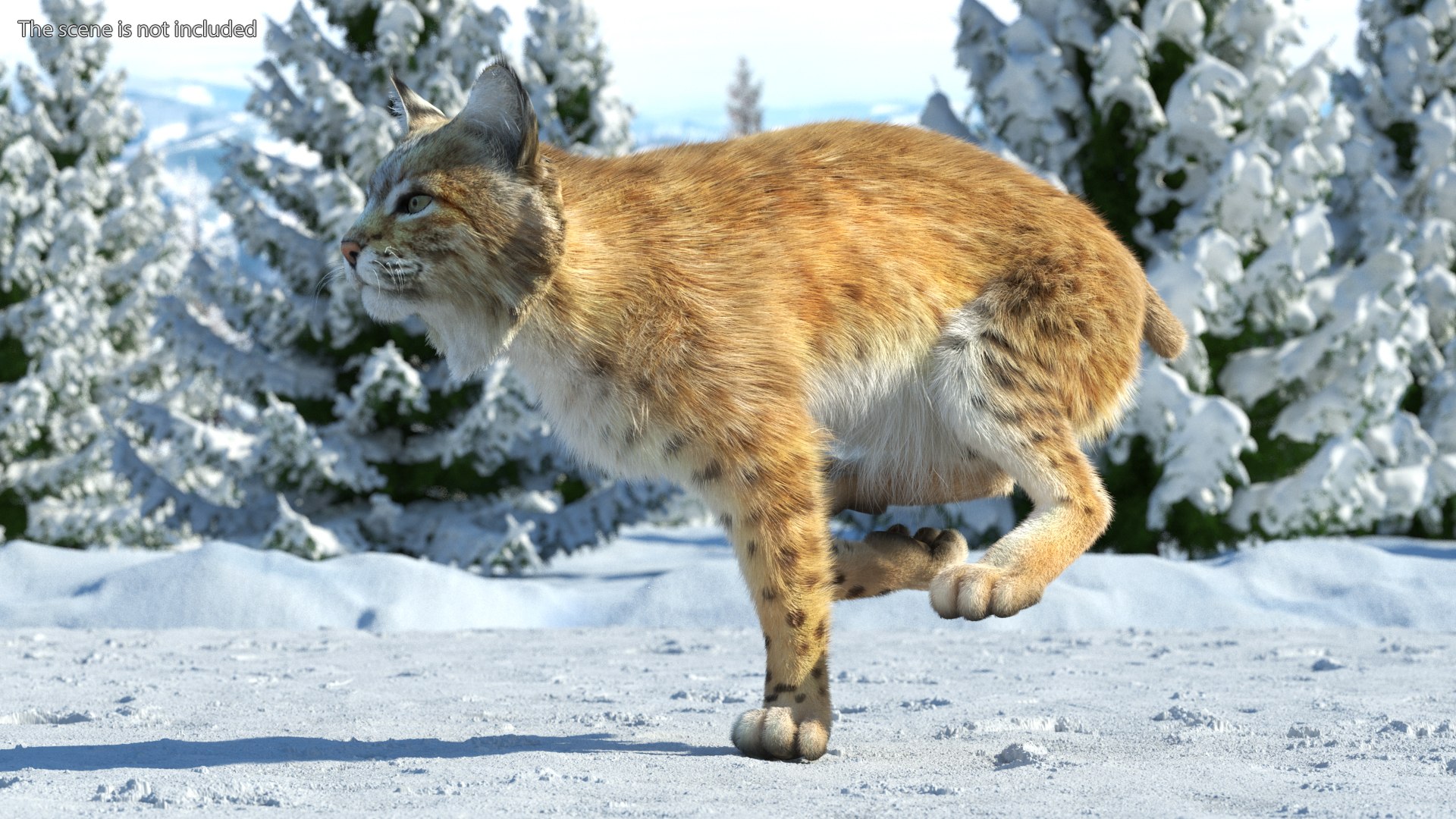 3D Lynx Running Fur - TurboSquid 2025478