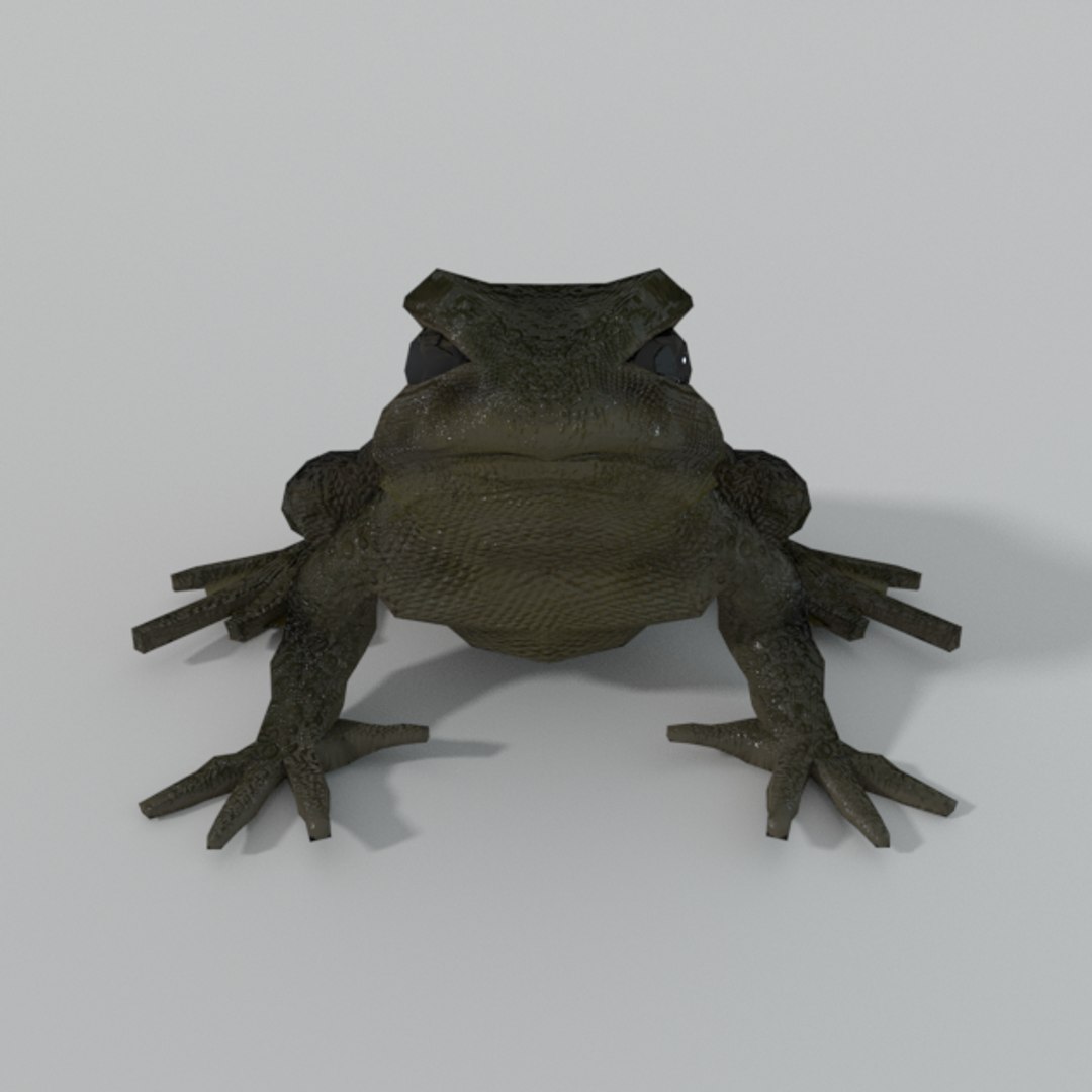 3D Warty Frog - TurboSquid 1316822