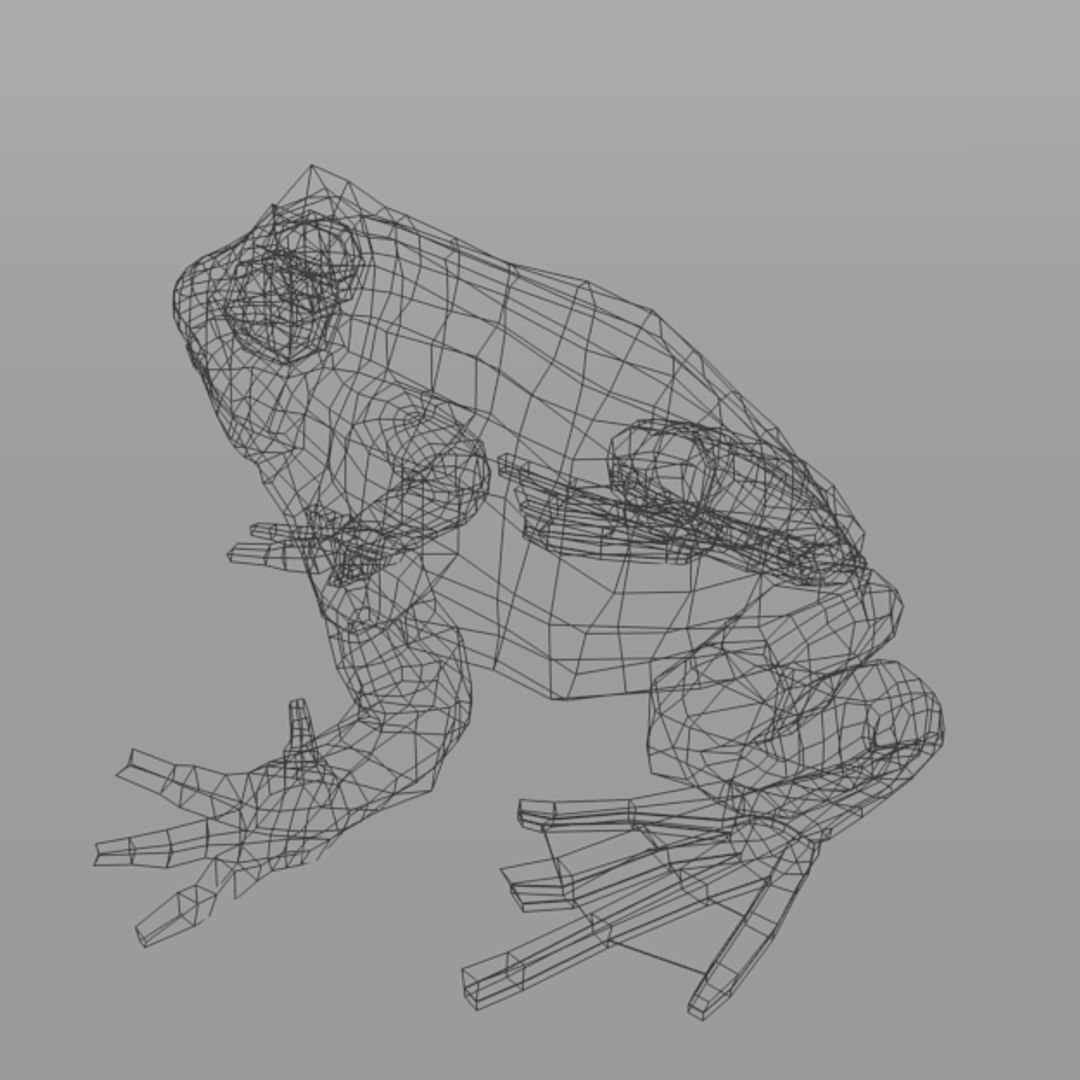 3D Warty Frog - TurboSquid 1316822