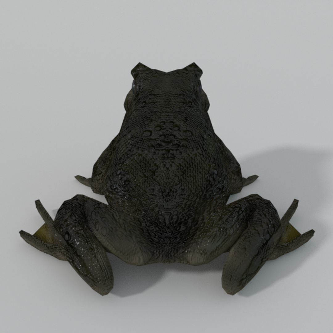 3D warty frog - TurboSquid 1316822