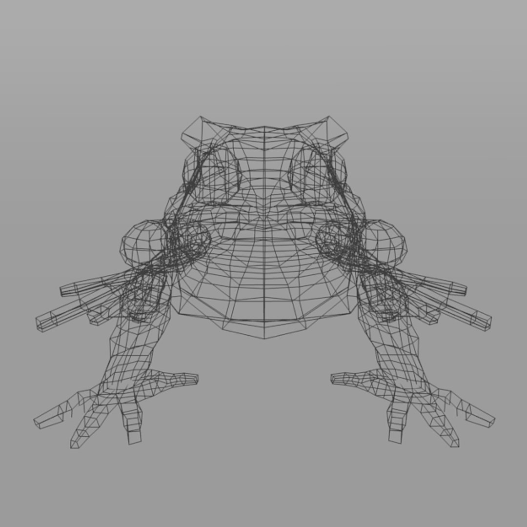 3D Warty Frog - TurboSquid 1316822