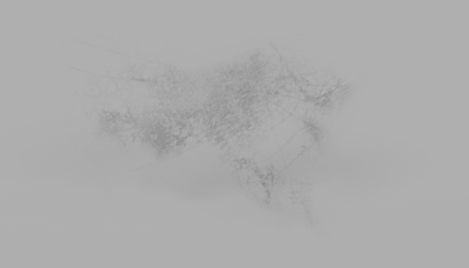 Dusty Spiderweb 3d Model