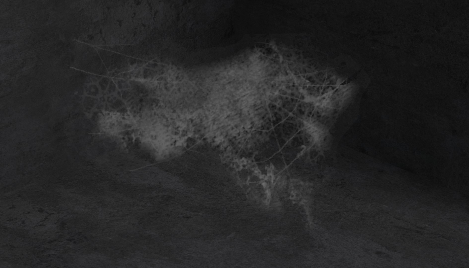 Dusty Spiderweb 3d Model