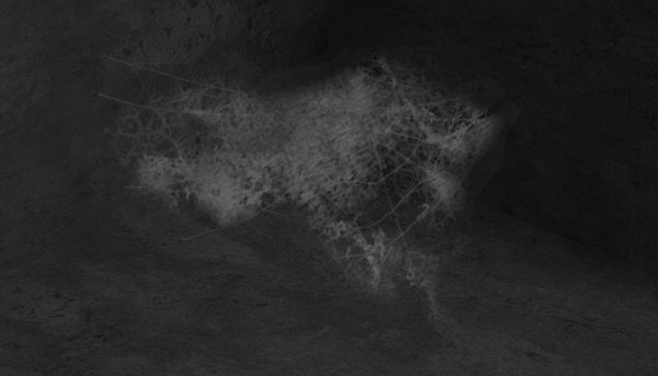 Spider Web 3D Models for Download | TurboSquid
