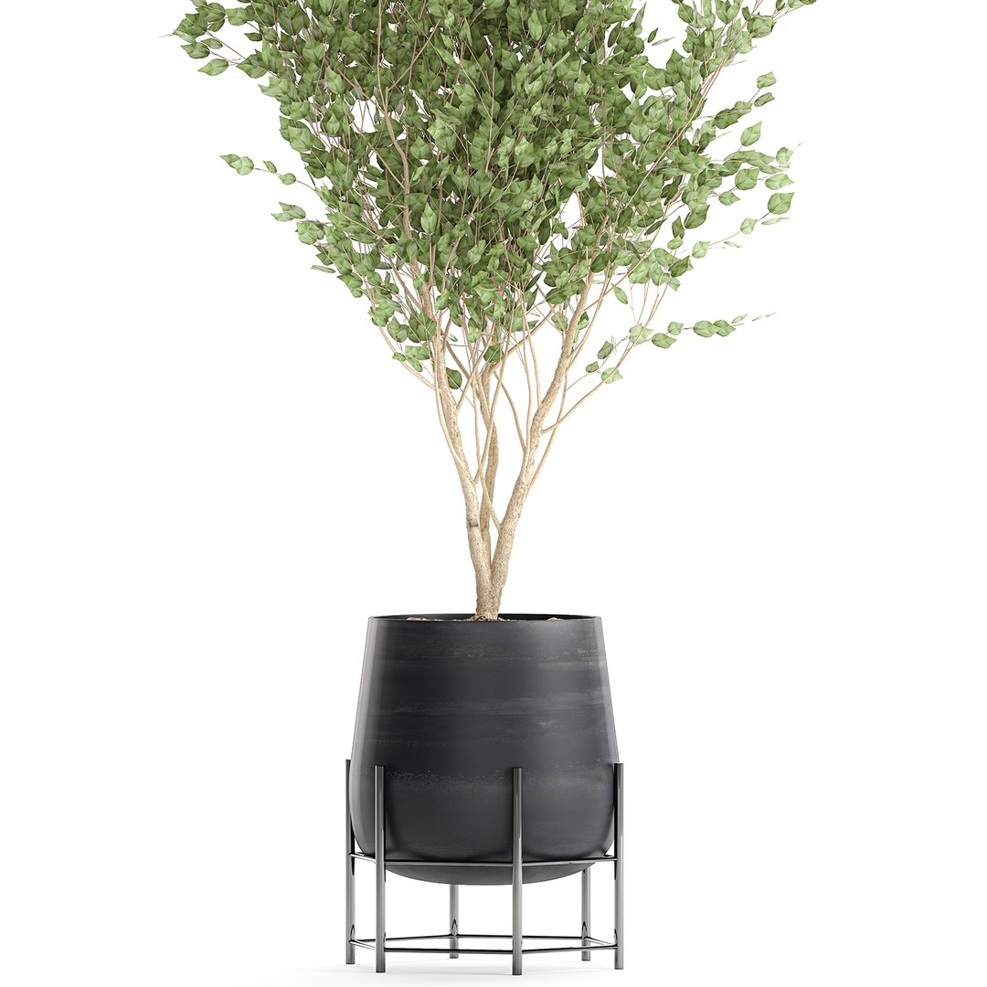 Decorative Trees Interior Black 3D Model - TurboSquid 1619085