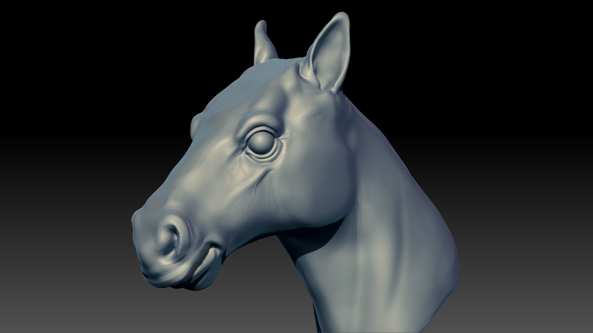 3D Model Horse Head - TurboSquid 1704453