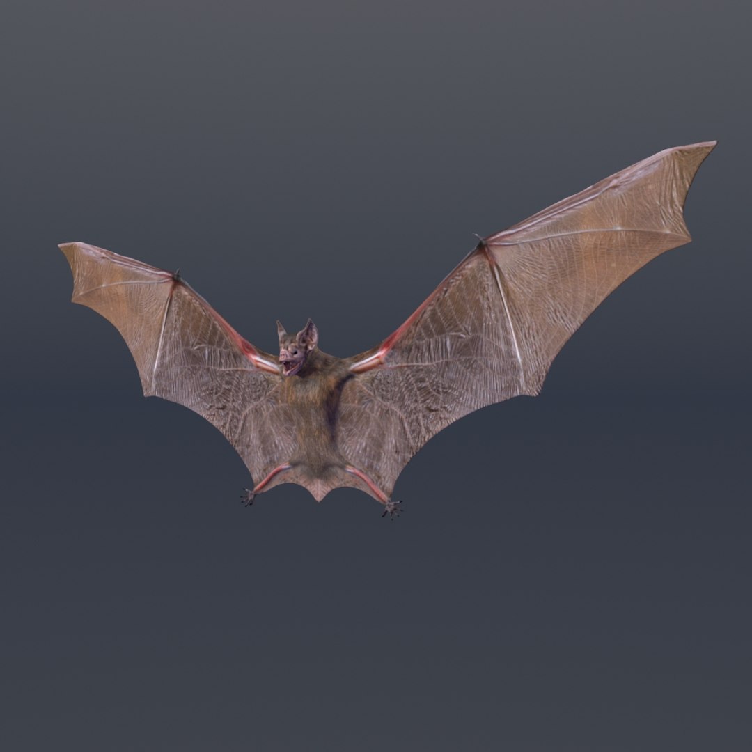 3D Bat Vfx Cinematic - TurboSquid 1339293