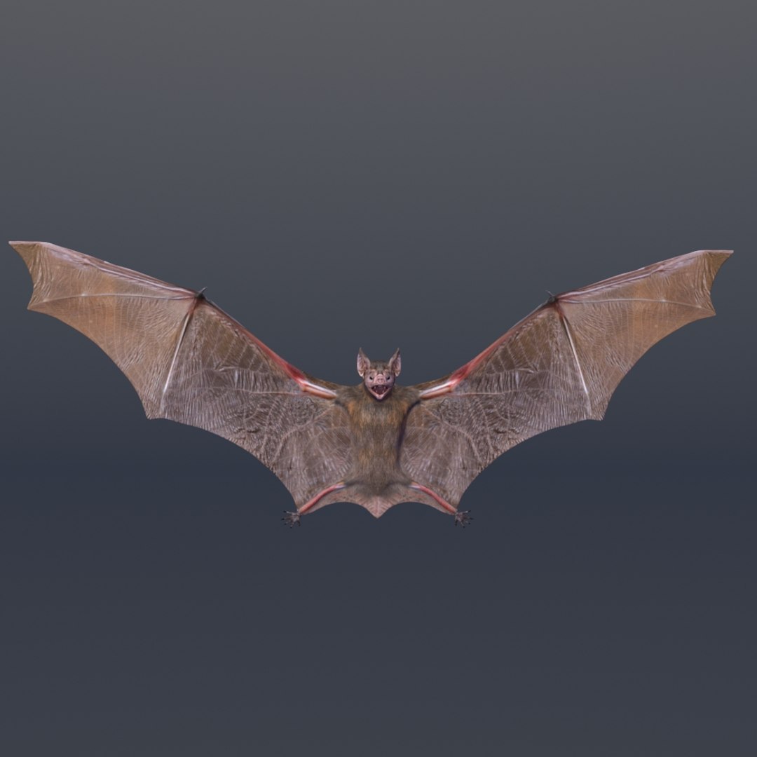 3D Bat Vfx Cinematic - TurboSquid 1339293