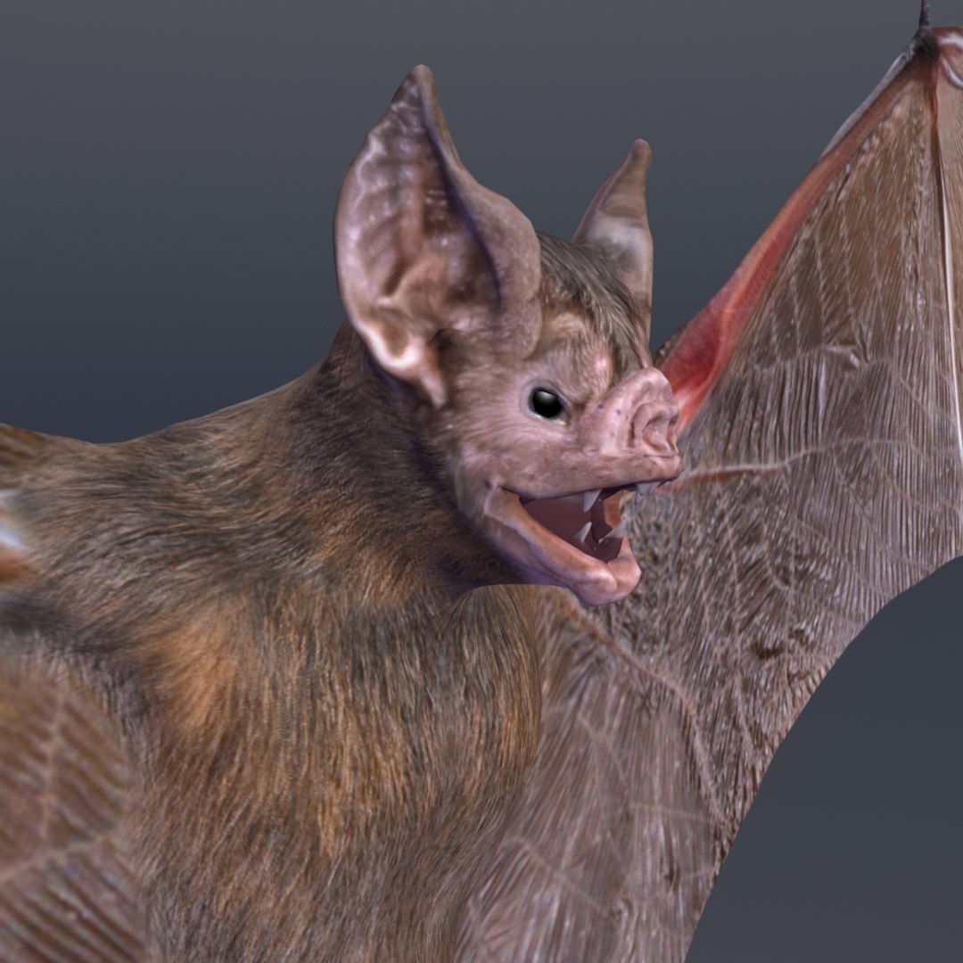 3D Bat Vfx Cinematic - TurboSquid 1339293