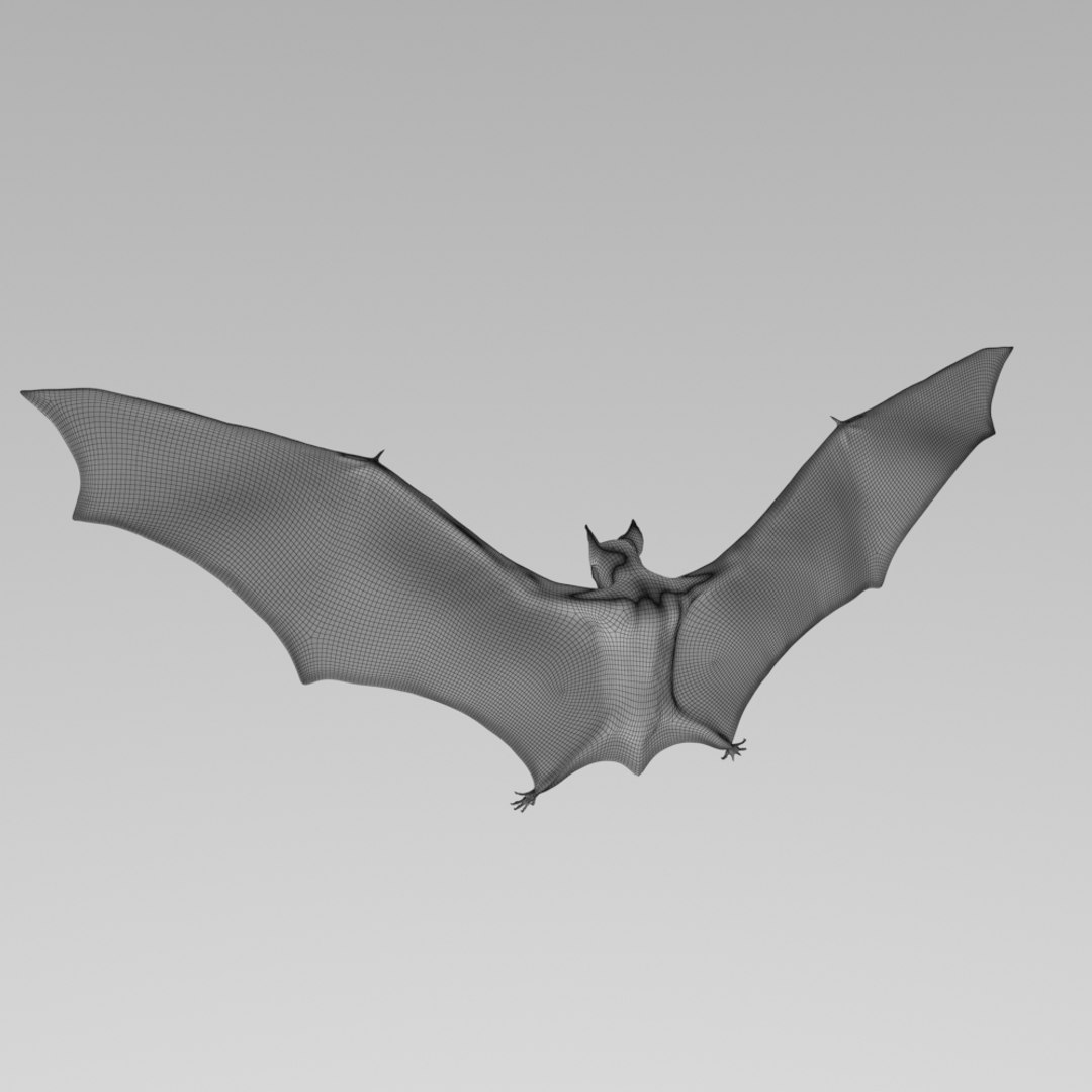 3D Bat Vfx Cinematic - TurboSquid 1339293
