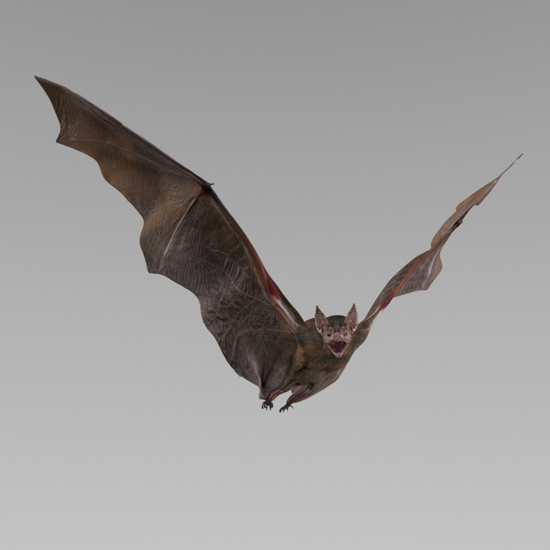 3D Bat Vfx Cinematic - TurboSquid 1339293