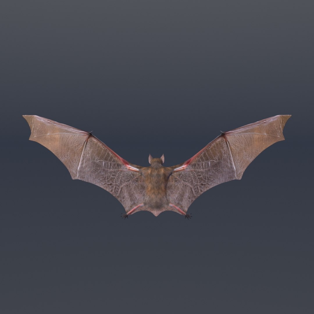 3D Bat Vfx Cinematic - TurboSquid 1339293