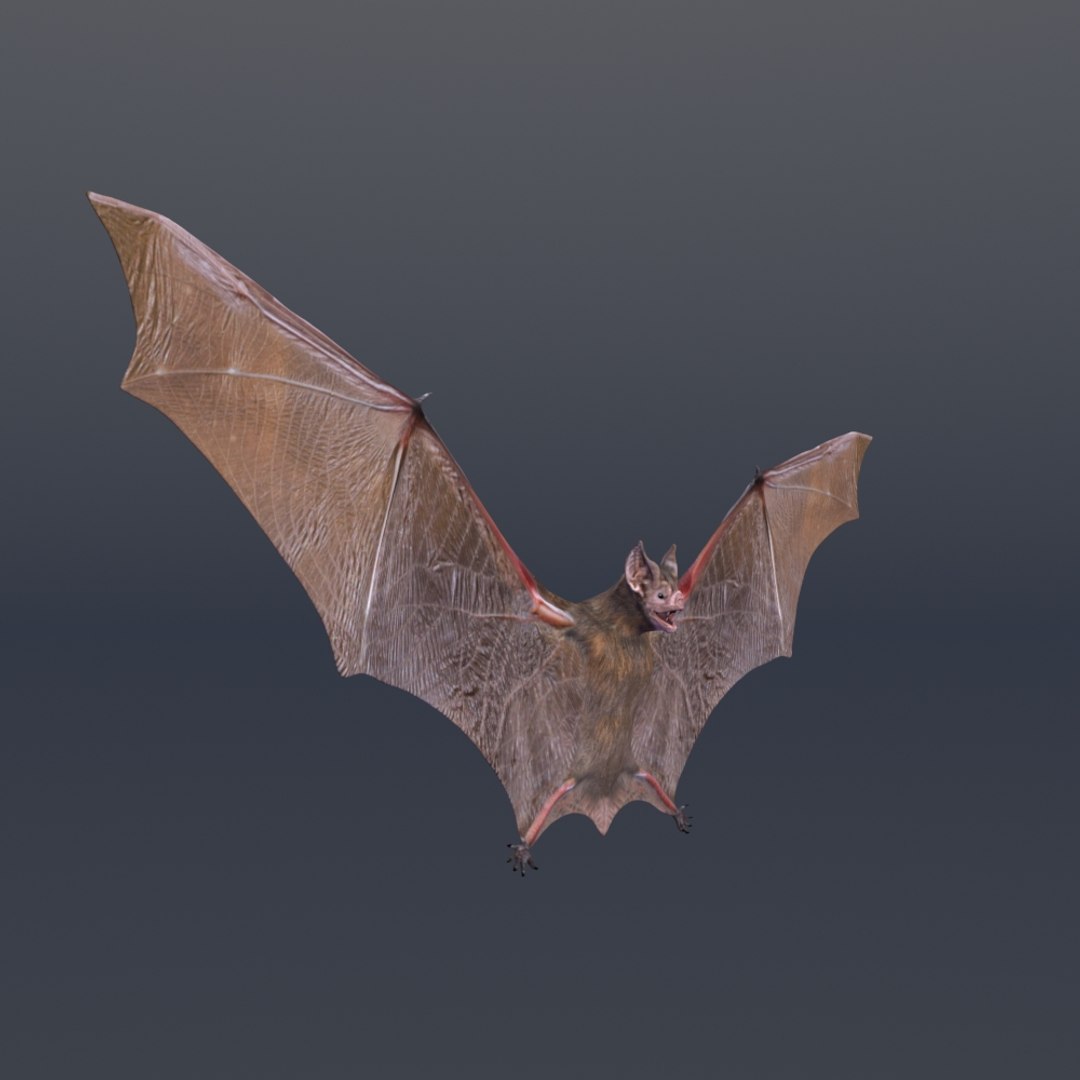 3D Bat Vfx Cinematic - TurboSquid 1339293