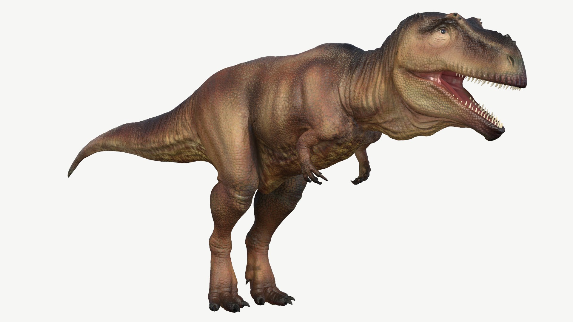 3D Giganotosaurus Model - TurboSquid 1159462