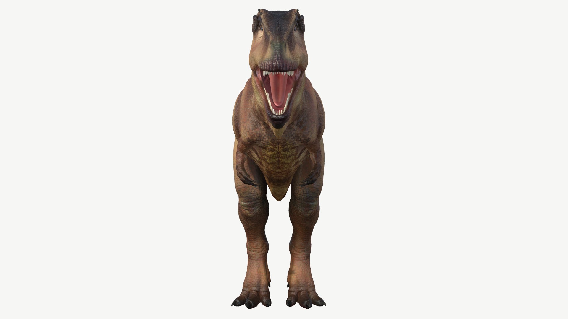 3D Giganotosaurus Model - TurboSquid 1159462