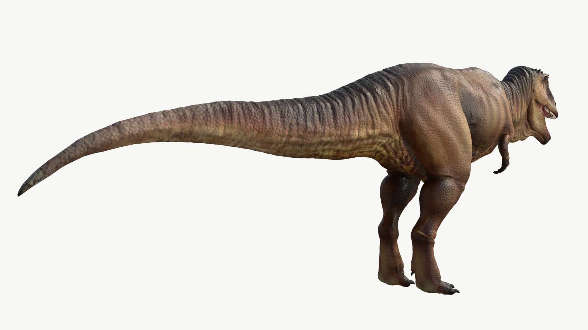 3D Giganotosaurus Model - TurboSquid 1159462