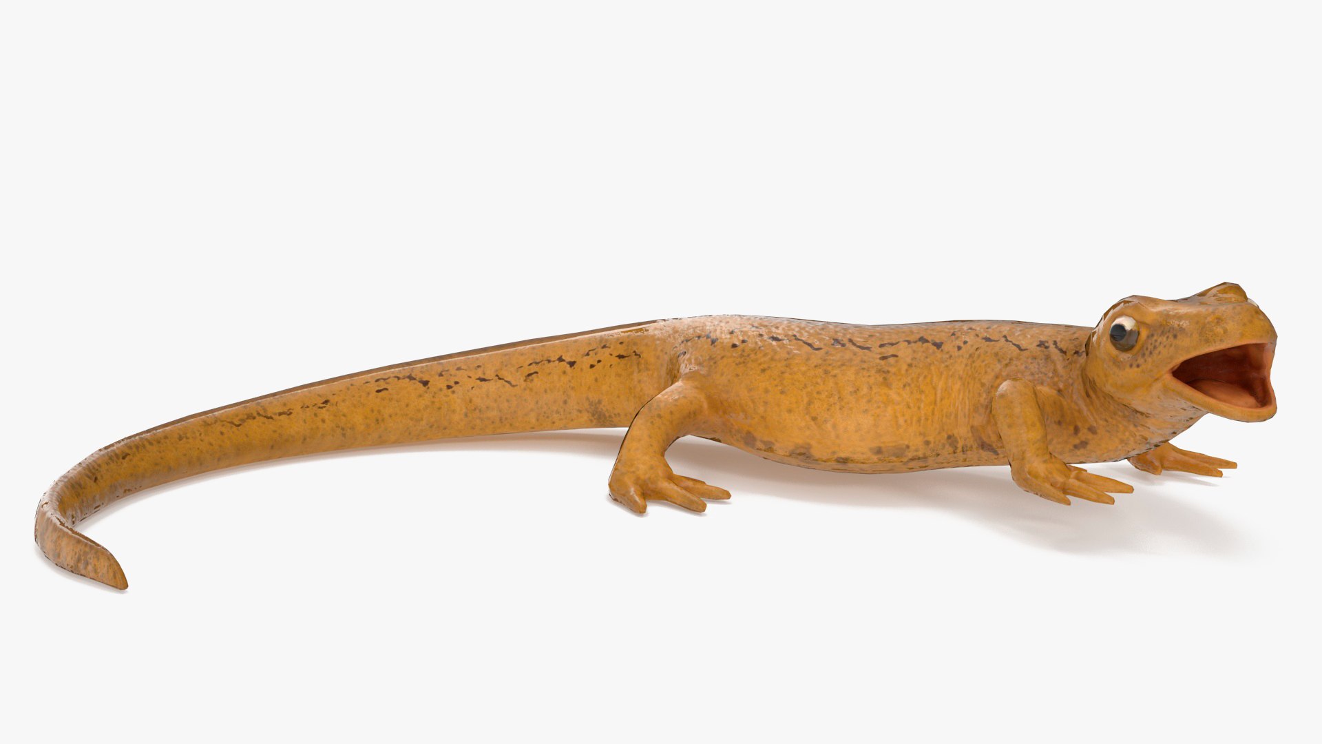 Smooth Newt Rigged 3D - TurboSquid 2144112