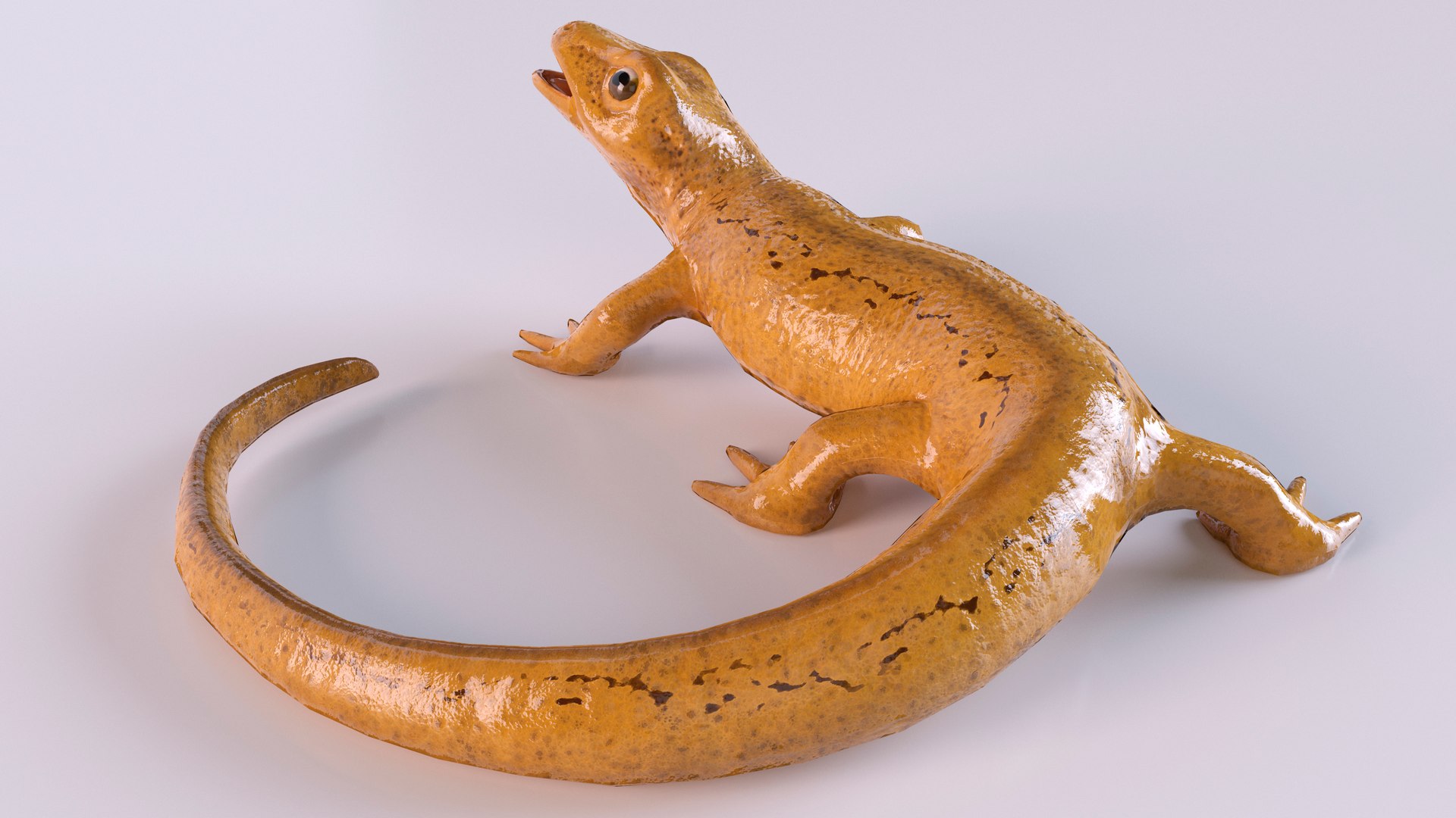 Smooth Newt Rigged 3D - TurboSquid 2144112