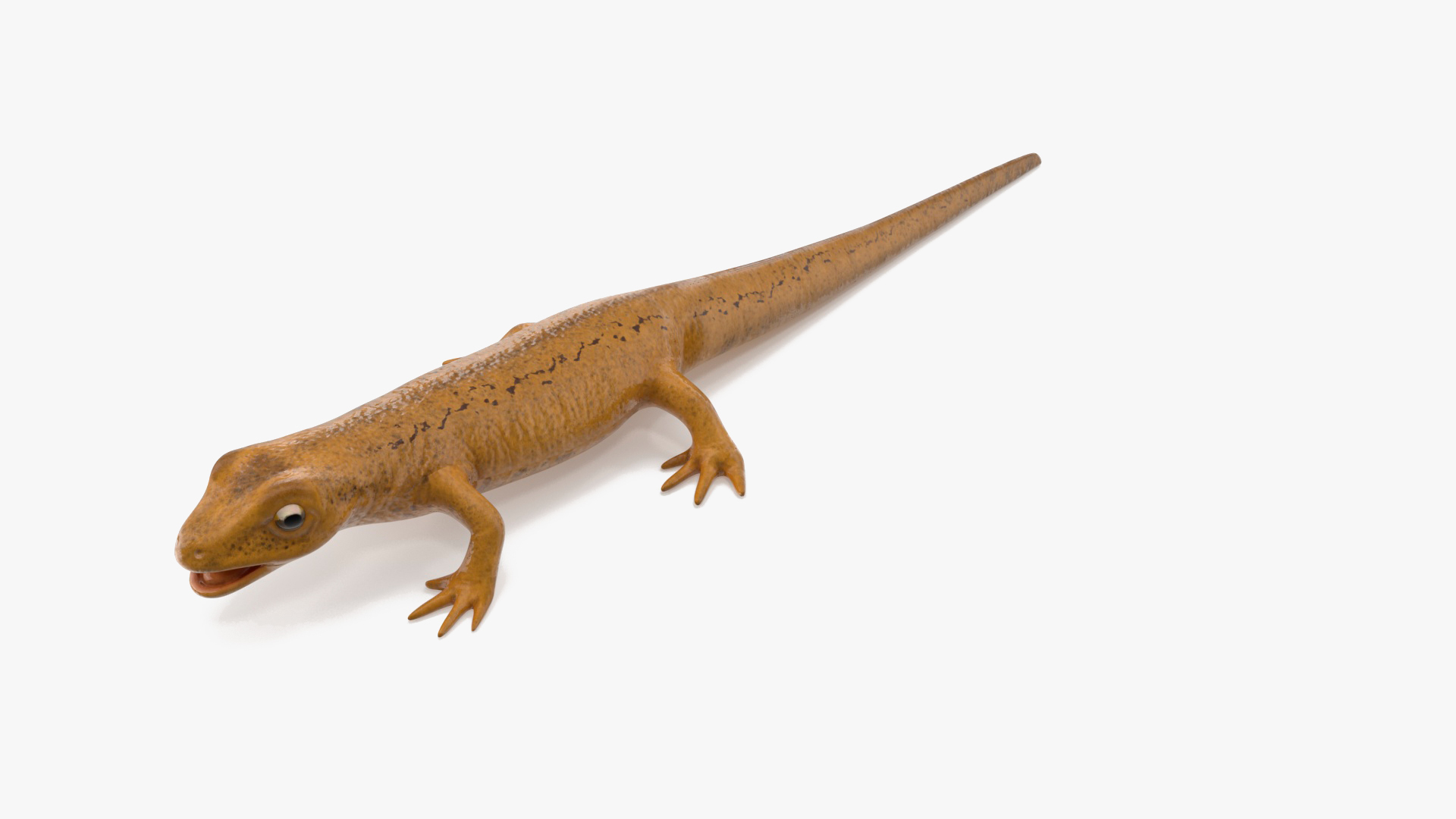 Smooth Newt Rigged 3D - TurboSquid 2144112