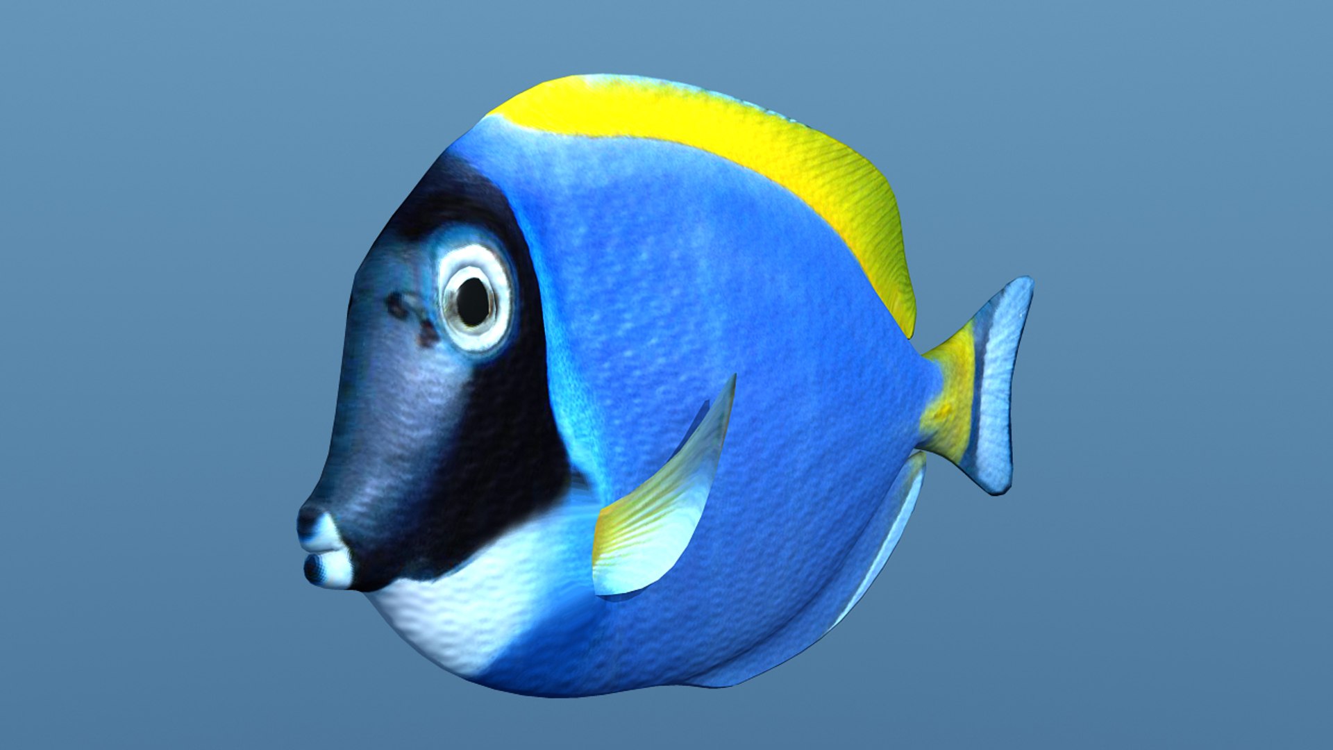 16 Fish Tropical 3d Obj