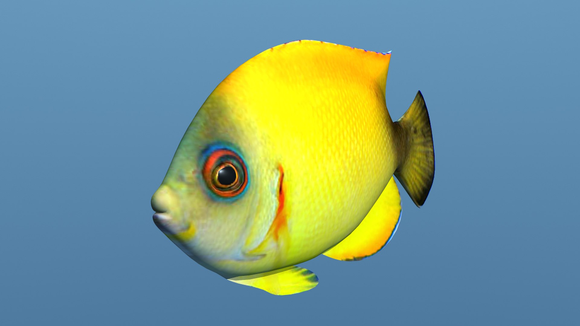 16 Fish Tropical 3d Obj