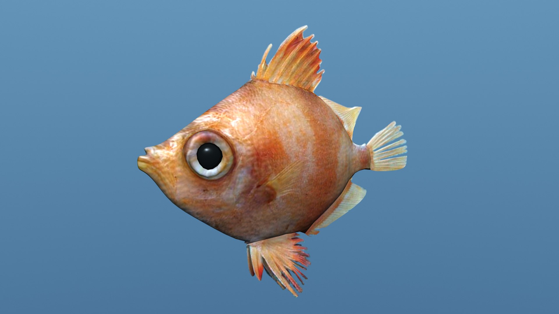 16 Fish Tropical 3d Obj