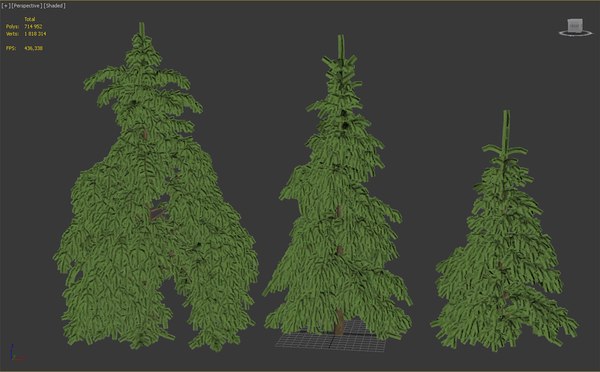 3D spruce tree nature - TurboSquid 1673418