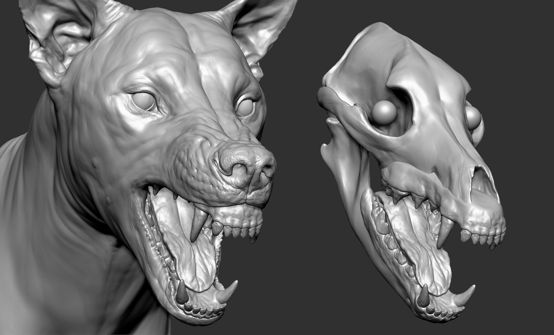 Wolf VFX MUSCLE SIMULATION wih Facial Expression model - TurboSquid 1909050