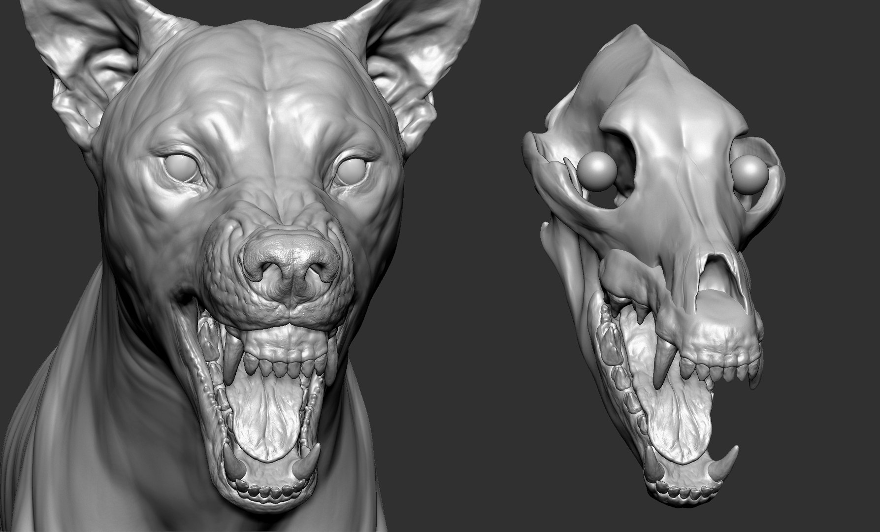 Wolf VFX MUSCLE SIMULATION wih Facial Expression model - TurboSquid 1909050