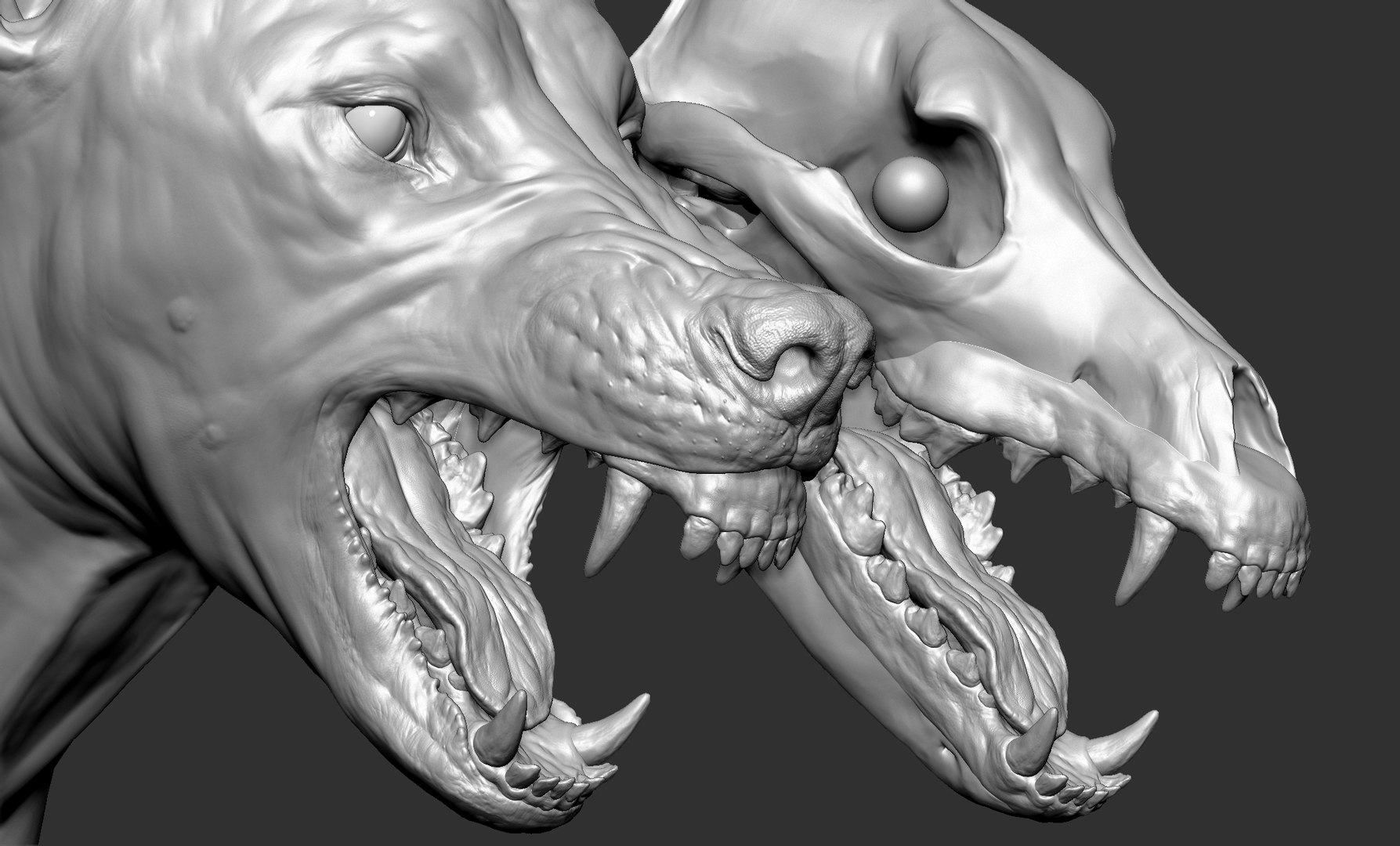 Wolf VFX MUSCLE SIMULATION wih Facial Expression model - TurboSquid 1909050