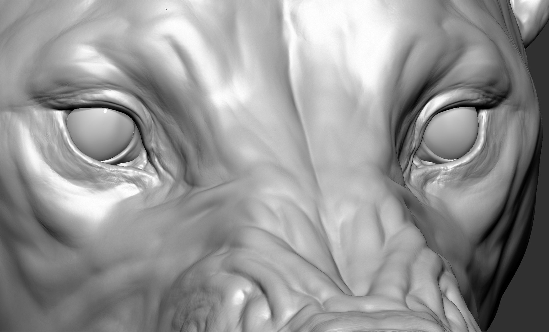 Wolf VFX MUSCLE SIMULATION wih Facial Expression model - TurboSquid 1909050