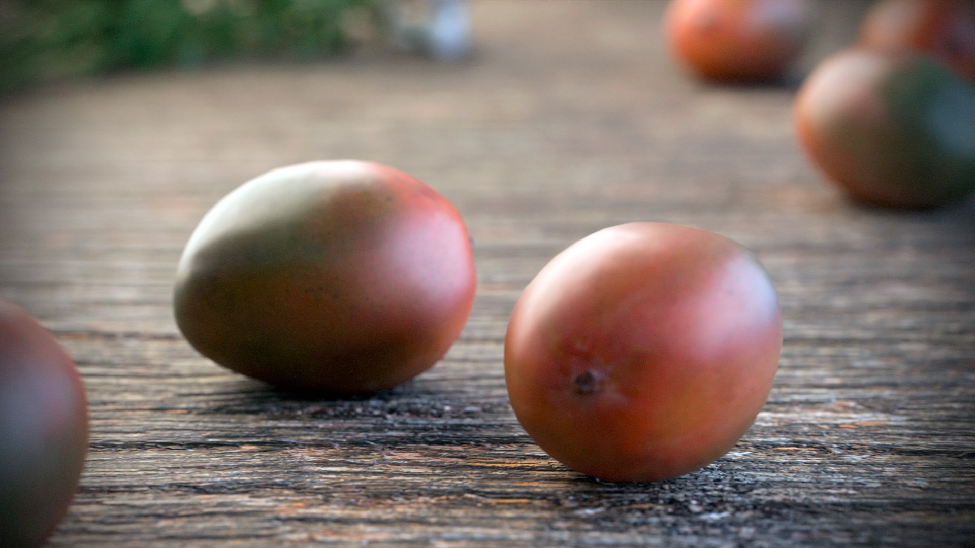 3D Model Mango - TurboSquid 2206941