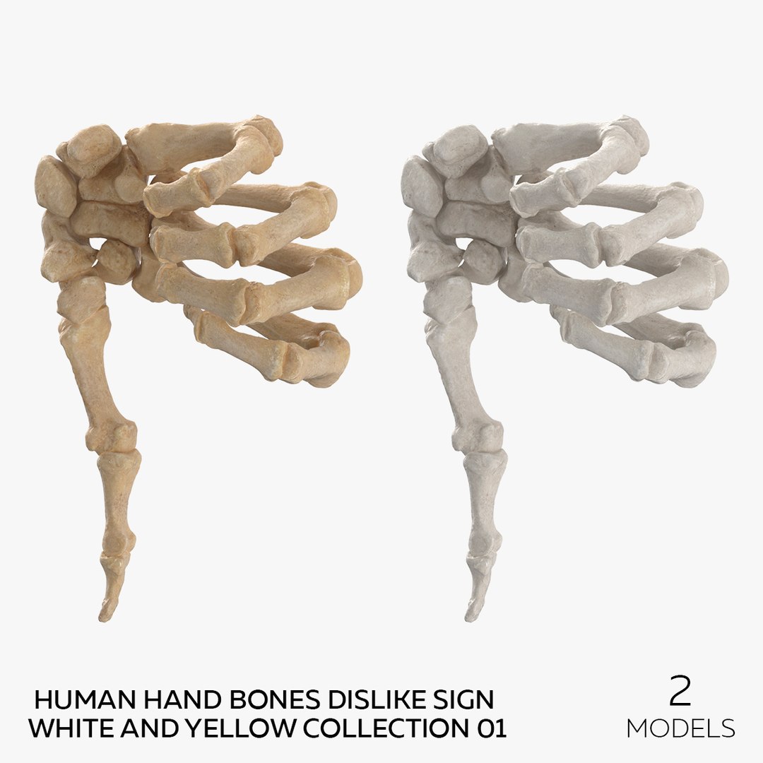 Human Hand Bones Dislike Sign White And Yellow Collection 01 - 2 Models ...