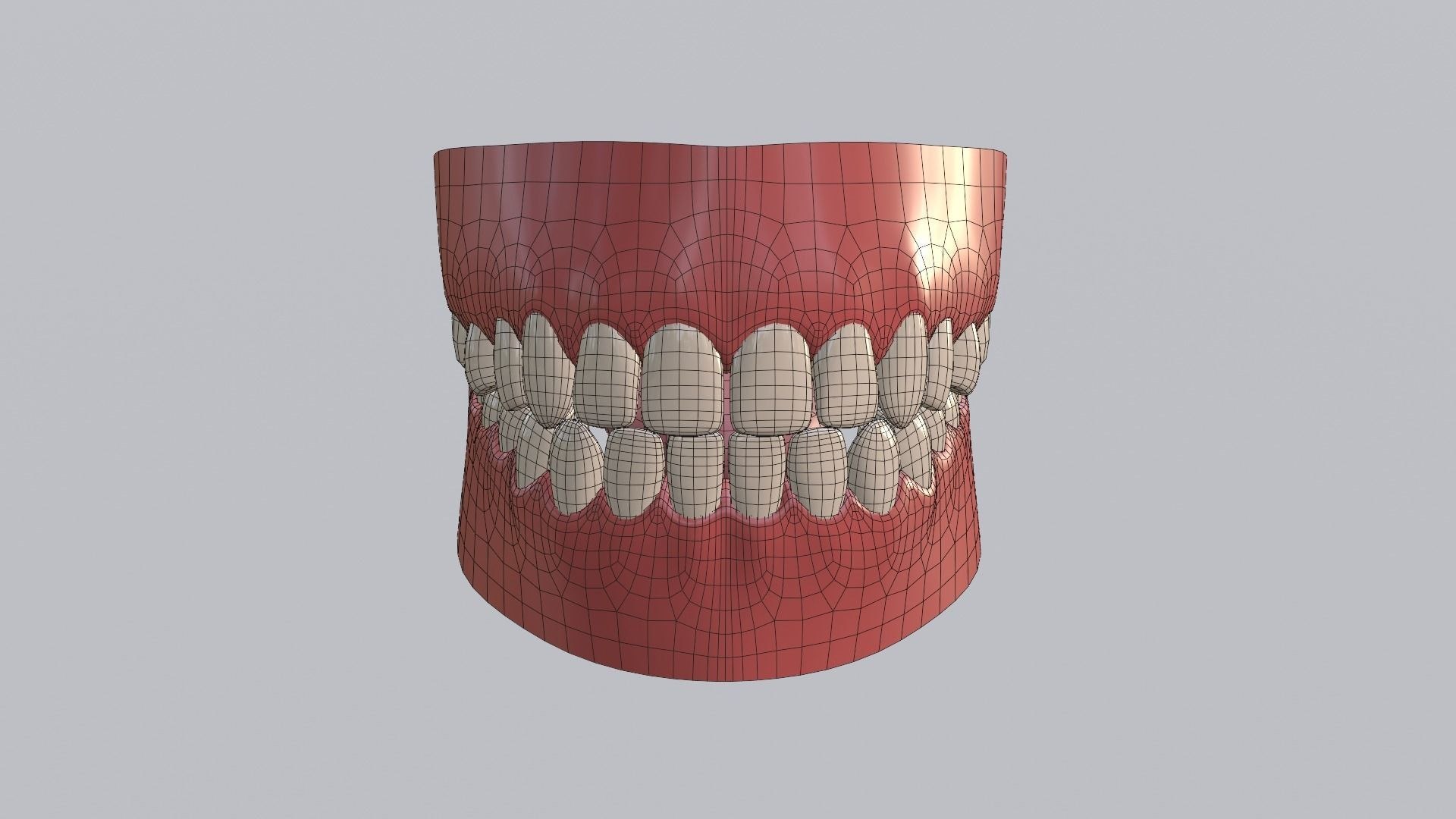 3D Cartoon Teeth - TurboSquid 2133051