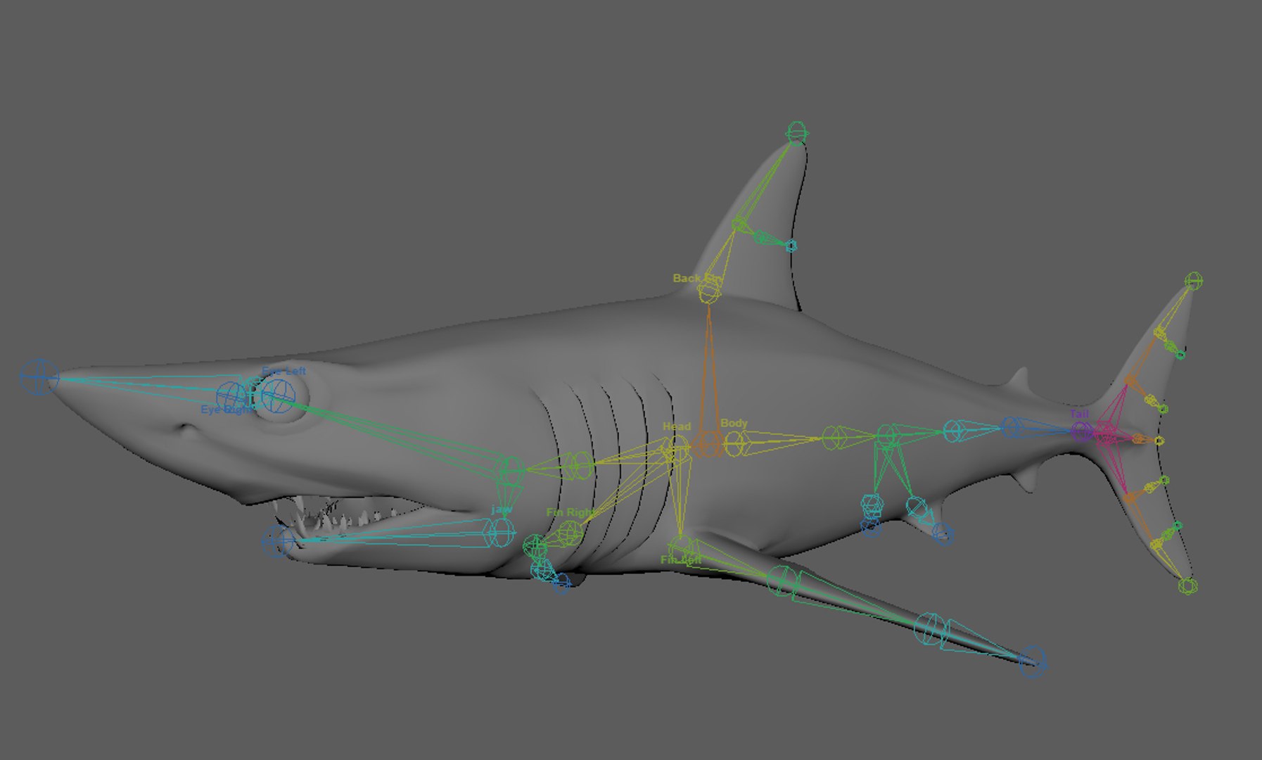 Mako Shark Model - TurboSquid 1812557