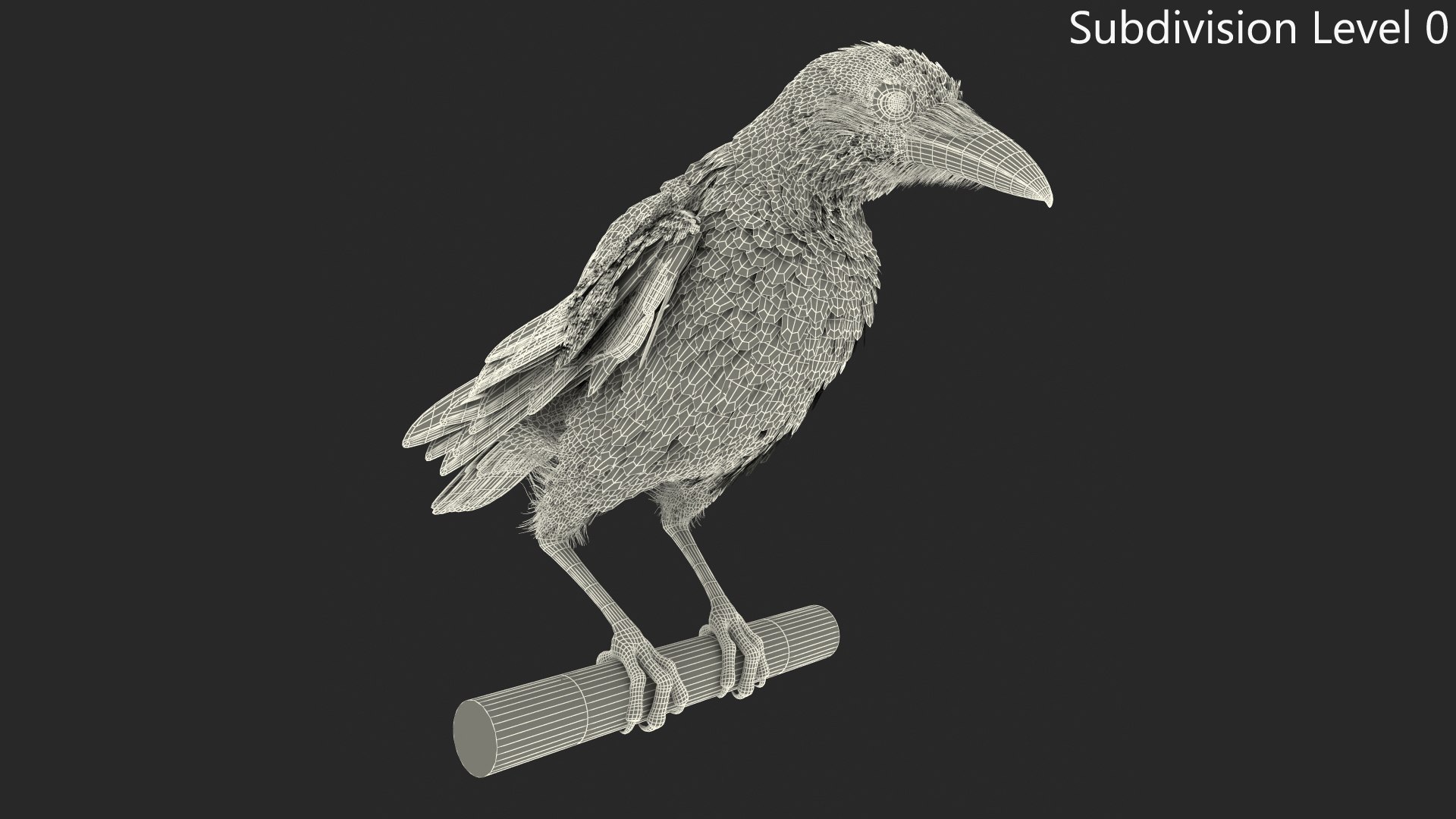 3D Raven Animated Takeoff Rigged Model - TurboSquid 2385189