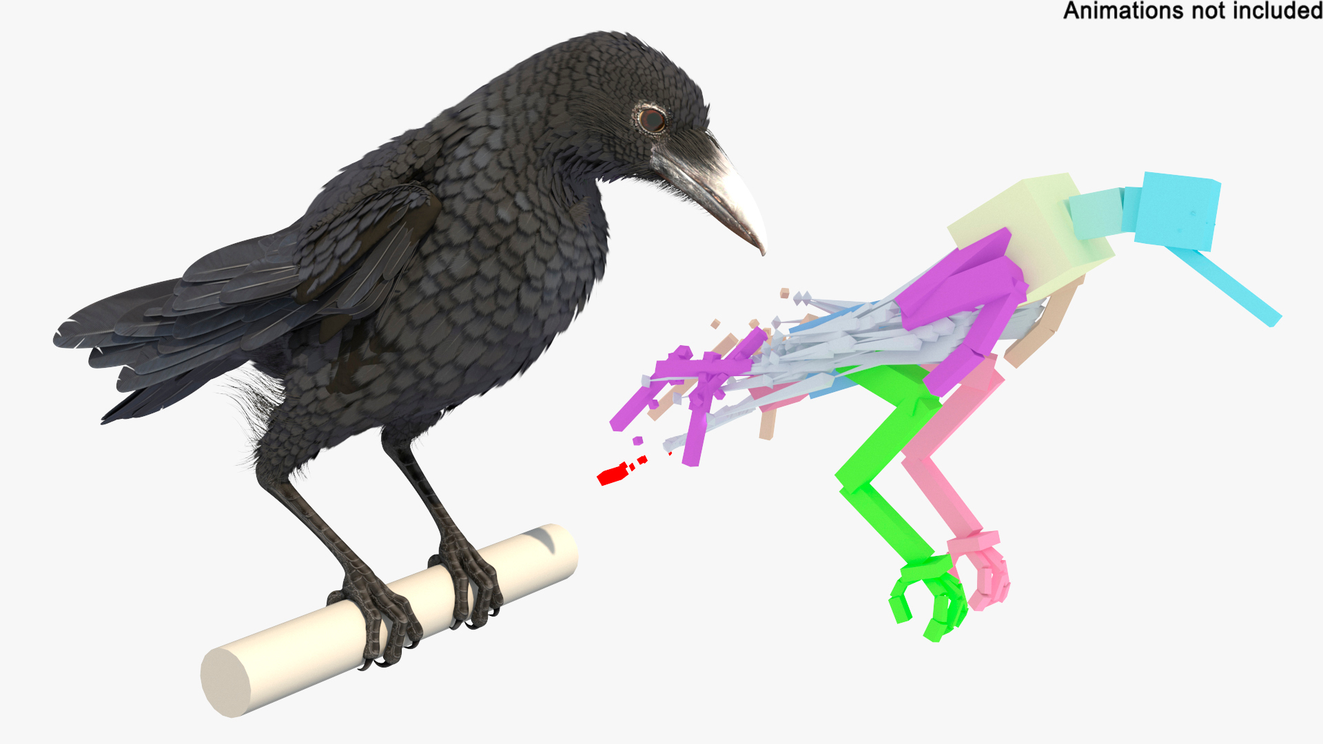 3D Raven Animated Takeoff Rigged Model - TurboSquid 2385189