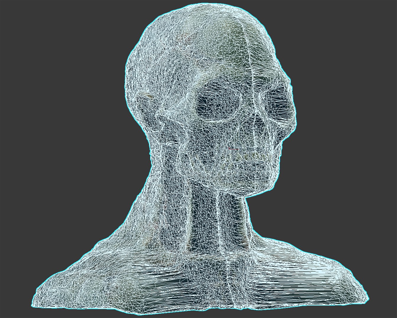 Zombie Heads Pack 4 Model - TurboSquid 2075492