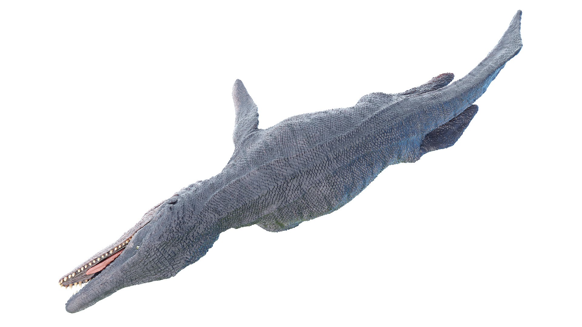 3D Kronosaurus Kronos - TurboSquid 1668957