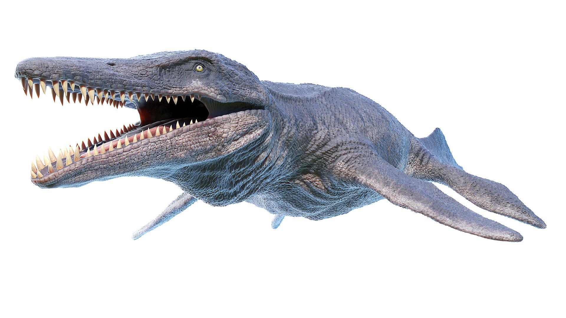 3D Kronosaurus Kronos - TurboSquid 1668957